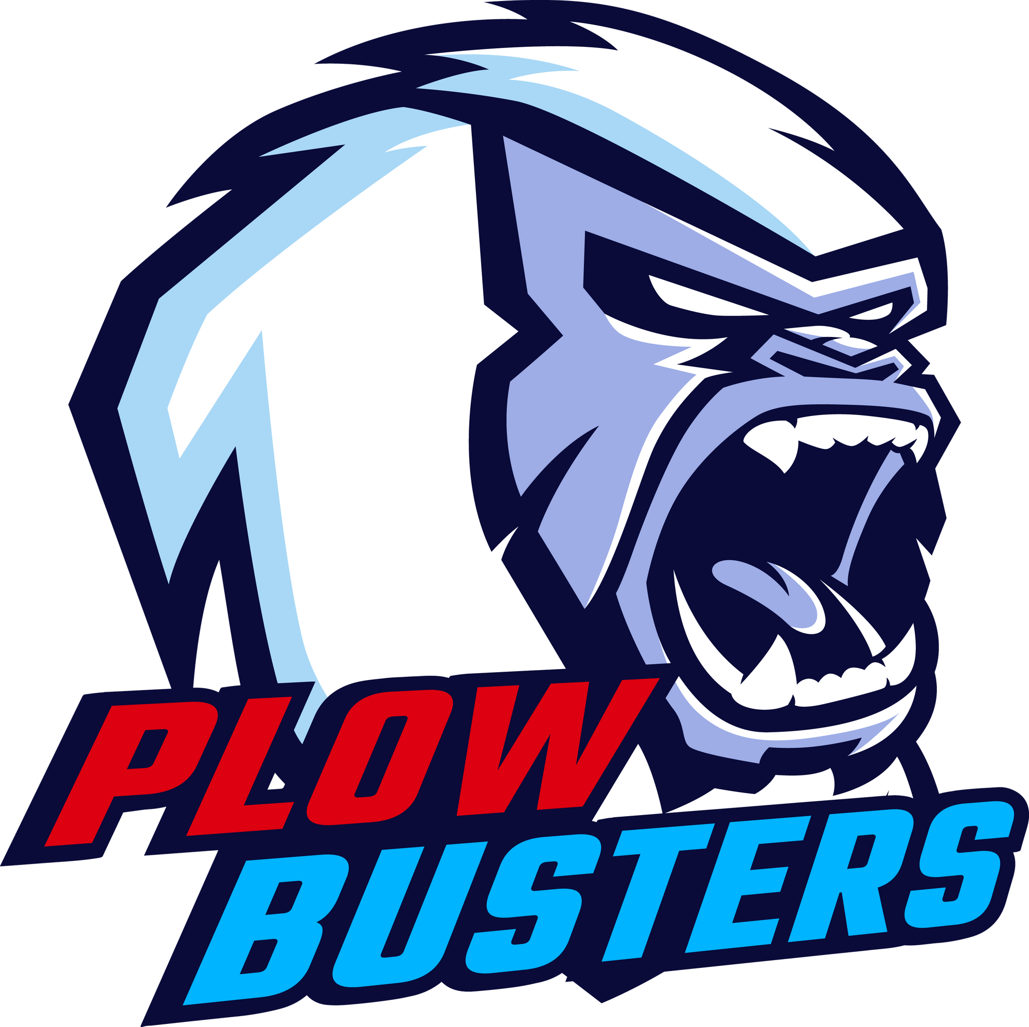 Choosing the Right Snow Removal Service: What Sets Plow Busters Apart ...